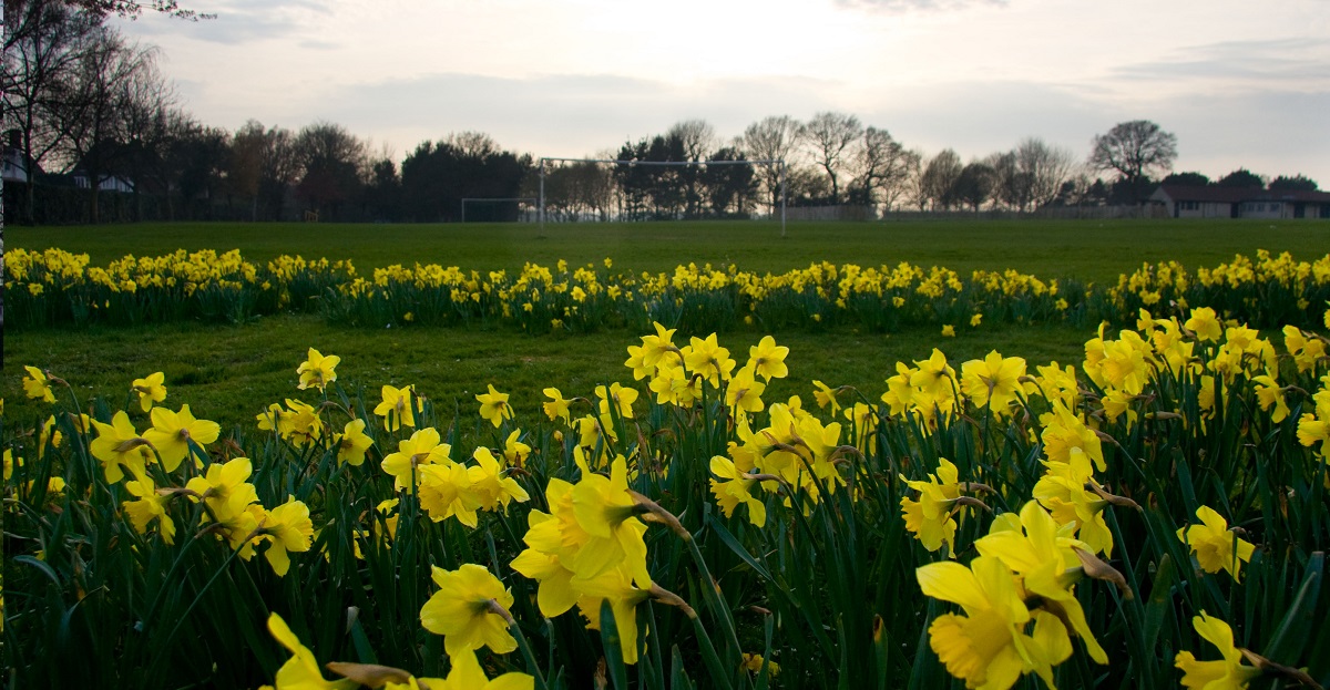 Become a member – Sanderstead Residents' Association