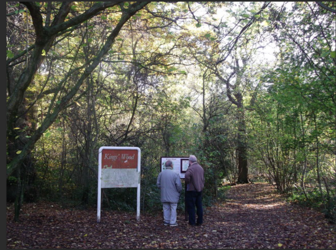 King’s Wood Guided Walks – Sanderstead Residents' Association